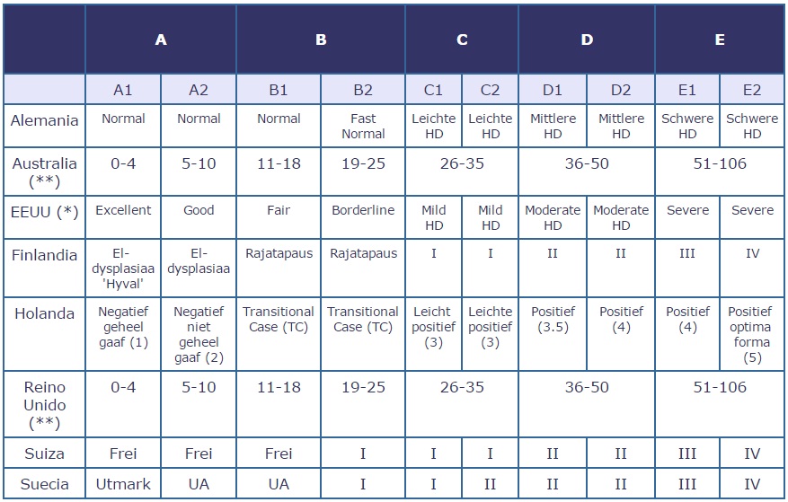 La salud en el Setter Irlandés | Glenveagh Setter Irlandés